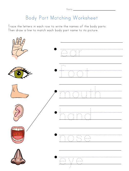 Kindergarten Body Parts Worksheets Kindergarten Body Parts Worksheets