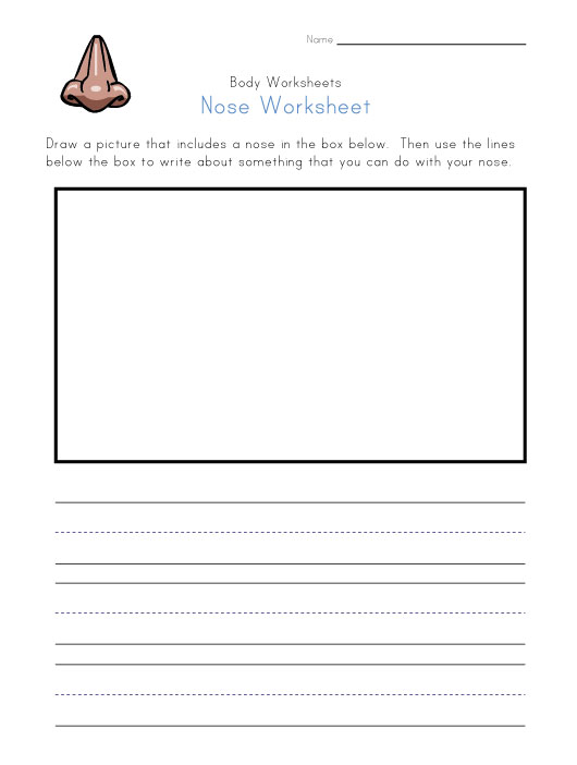 Nose Worksheet