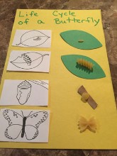 Spring Crafts for Kids | All Kids Network