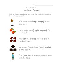 8 Great Free Plural Worksheets | All Kids Network