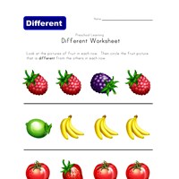 Same and Different Worksheets for Kids | All Kids Network
