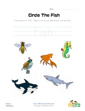 Anatomy of a Fish Worksheet | All Kids Network