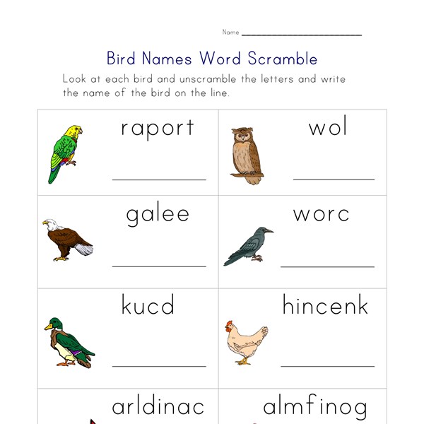 Birds Word Scramble Worksheet | All Kids Network