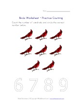 Birds Worksheets | All Kids Network