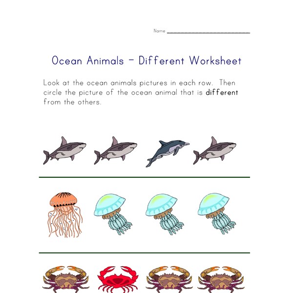 Ocean Life Worksheet - Different | All Kids Network