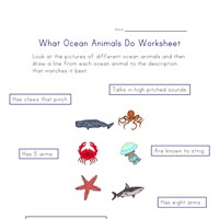 Ocean Animals Worksheets for Kids | All Kids Network