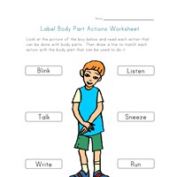 Body Worksheets for Kids | All Kids Network