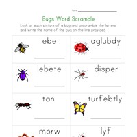Bug Worksheets for Kids | All Kids Network