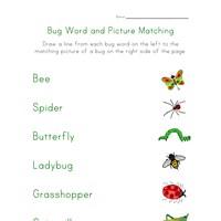 Bug Worksheets for Kids | All Kids Network