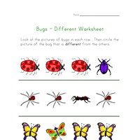 Bug Worksheets for Kids | All Kids Network