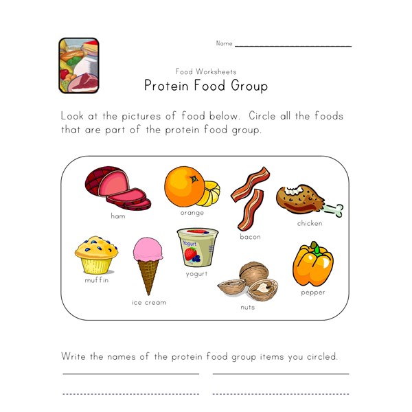 Protein Food Group Worksheet | All Kids Network