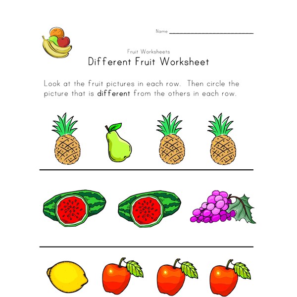 Different Fruit Worksheet | All Kids Network