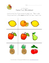 Fruit Same Size Worksheet | All Kids Network