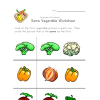 Vegetable Worksheets | All Kids Network