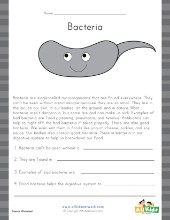 Reading Comprehension Worksheets | All Kids Network